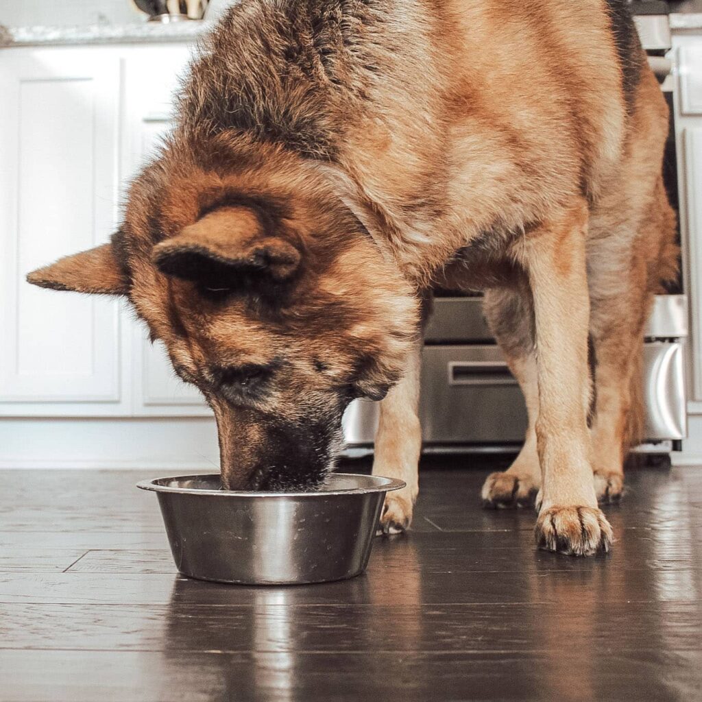 Frontier Distributing | High Quality Pet Food and Supplies